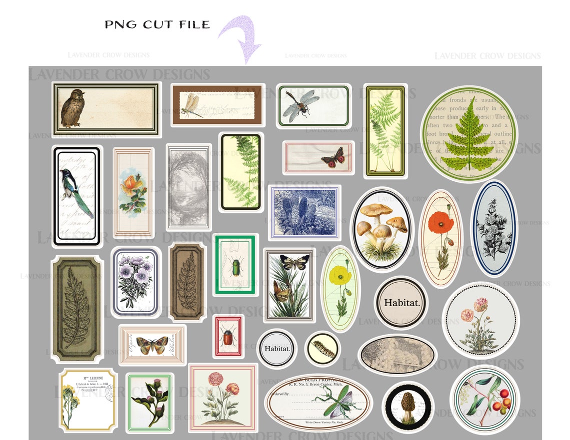 Assorted Nature Labels for Junk Journals - Etsy