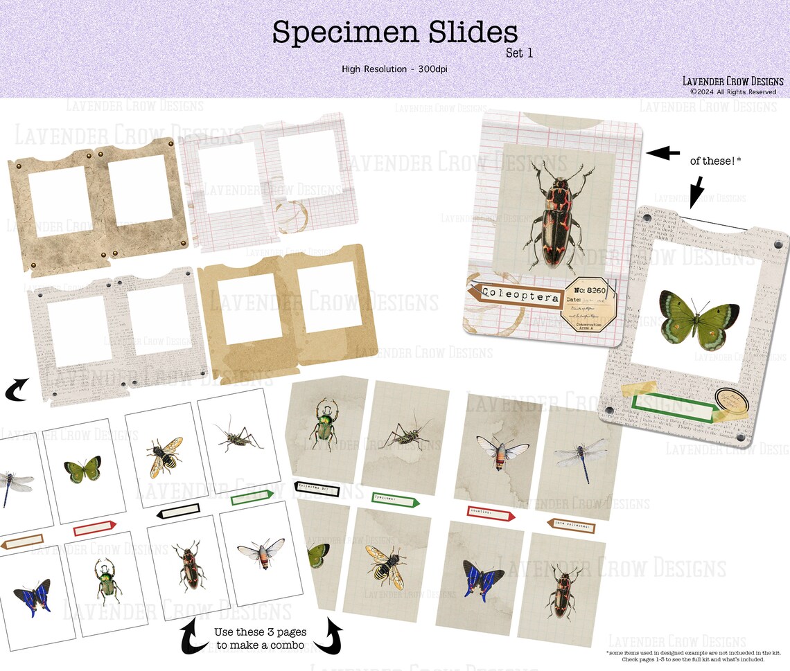 Specimen Slides for Junk Journals, Set 1 With Vintage Insects, Specimen ...