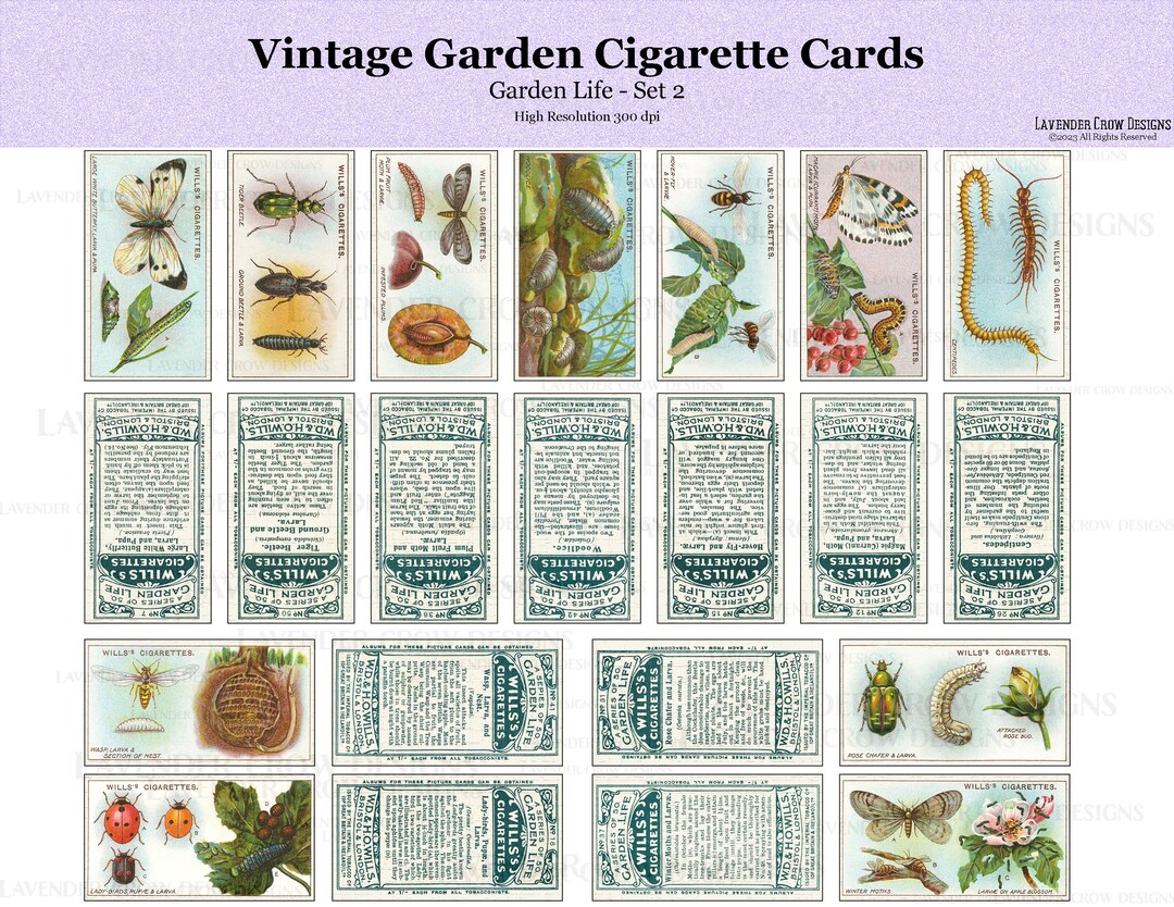 Vintage Cigarette Cards, Garden Life Set 2, Tea Cards, Garden Tea ...
