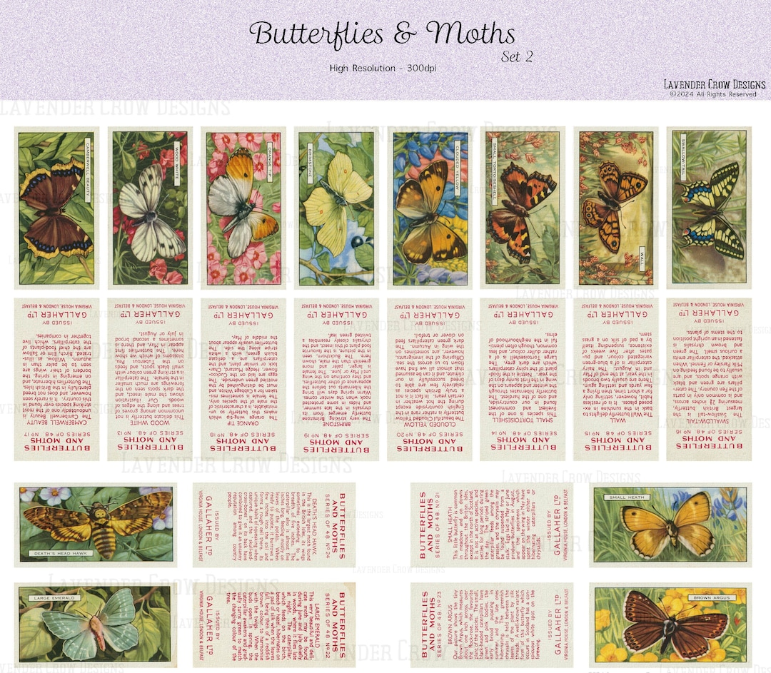 Vintage Cigarette Cards, Butterflies & Moths Set 2, Tea Cards, Floral ...