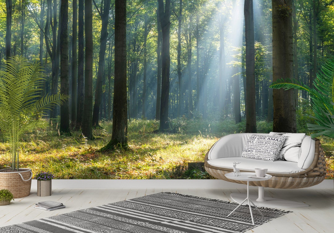 Forest Wall Mural 499597968 Muraledesign.com - Etsy