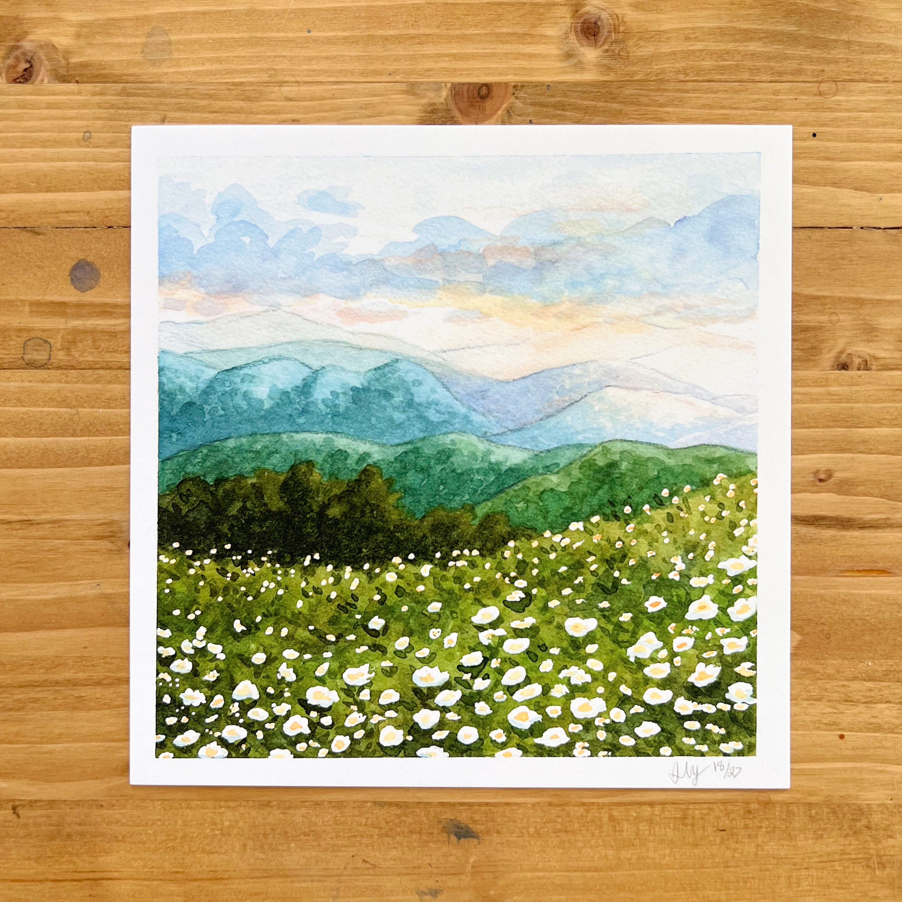 Blue Ridge Mountains Meadow Landscape Print 8x8 - Etsy
