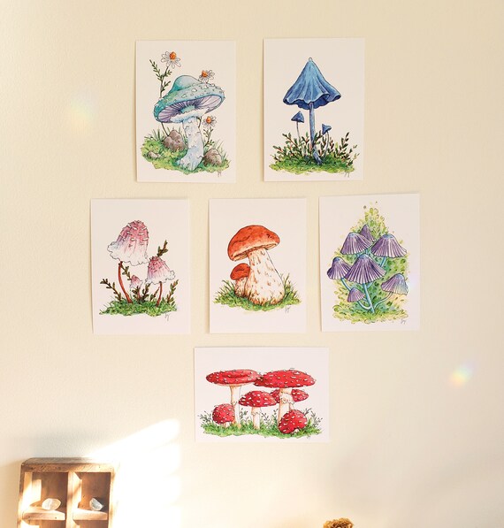 Assorted 6 Pack of Mushroom Prints/ Postcards 5x7 - Etsy