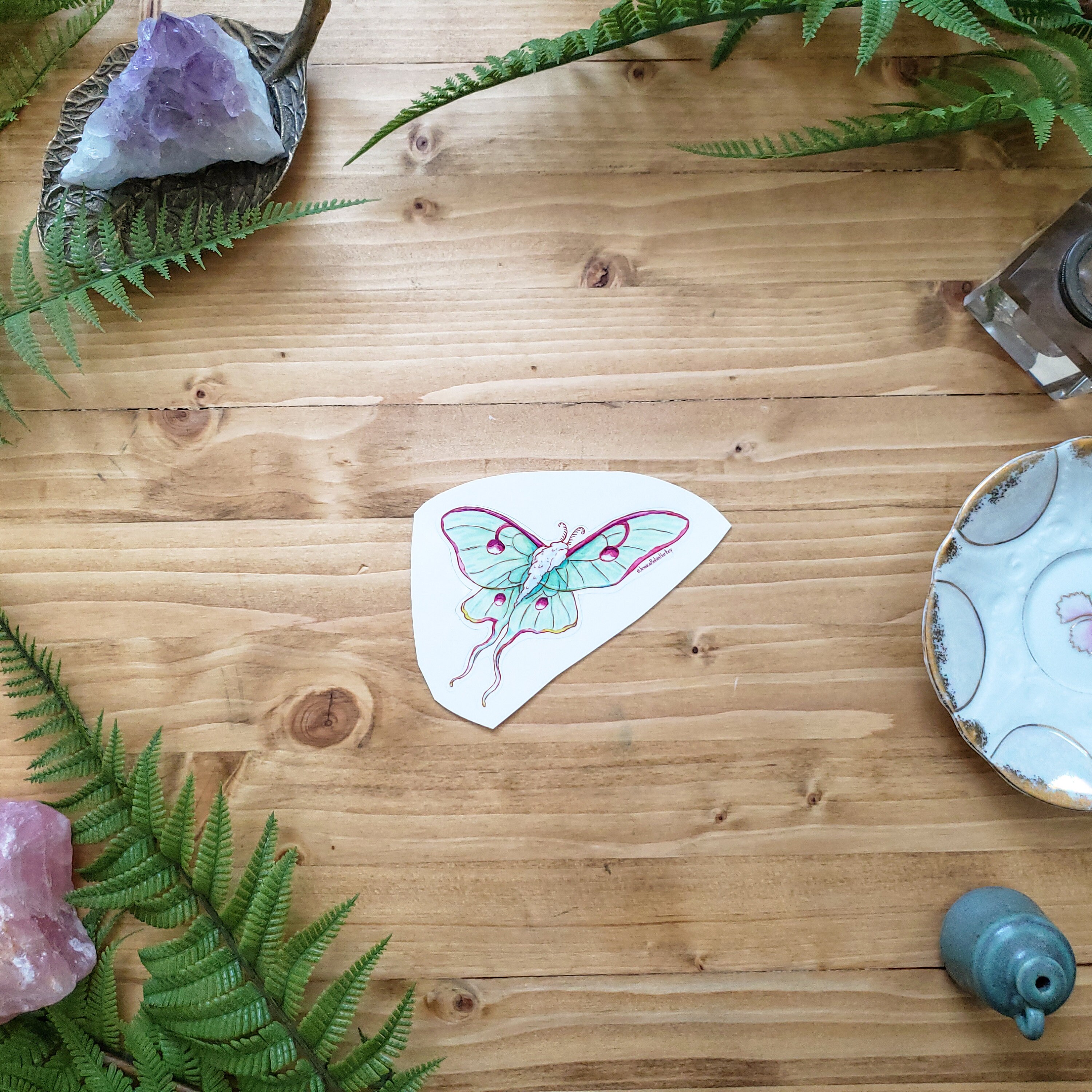 Luna Moth Vinyl Sticker Decal - Etsy