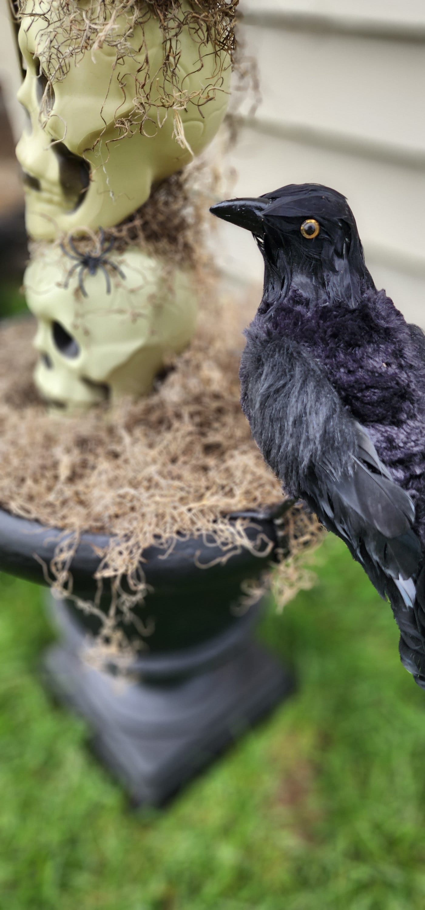 Stacked Skulls, 57in Glowing Skulls, Illuminated Skulls, Skulls for ...