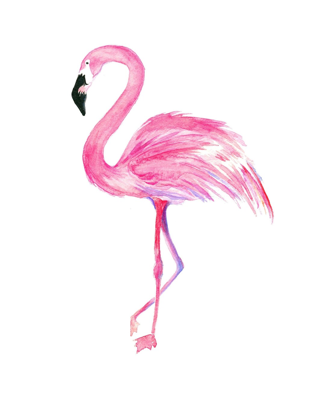 Pink Flamingo Watercolor Art Print | Multiple Sizes | Watercolor ...