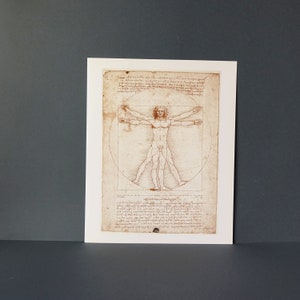 The Vitruvian Man - Leonardo Da Vinci Drawing - Fine Art Quality Art ...