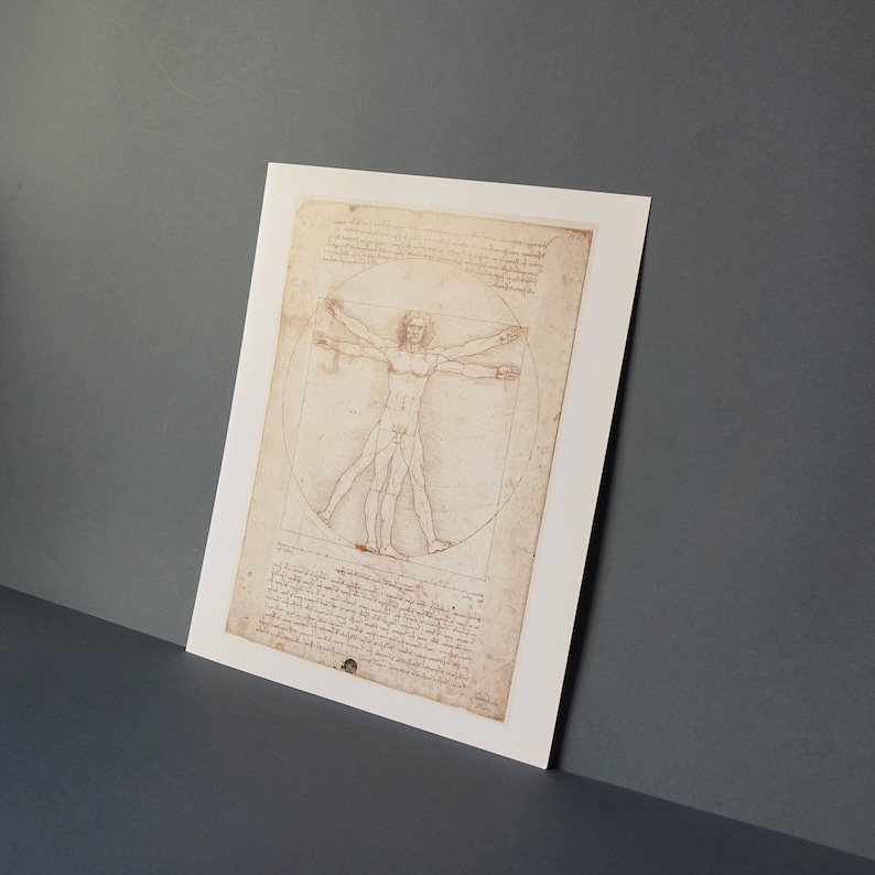 The Vitruvian Man - Leonardo Da Vinci Drawing - Fine Art Quality Art ...
