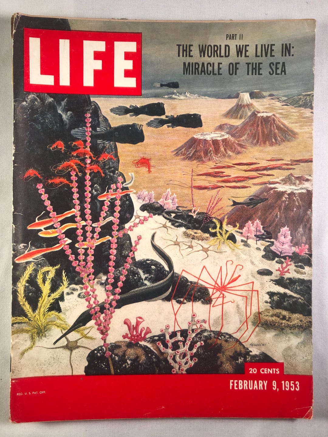 February 9 1953 Life Magazine Miracle of the Sea James Lewicki Painting ...
