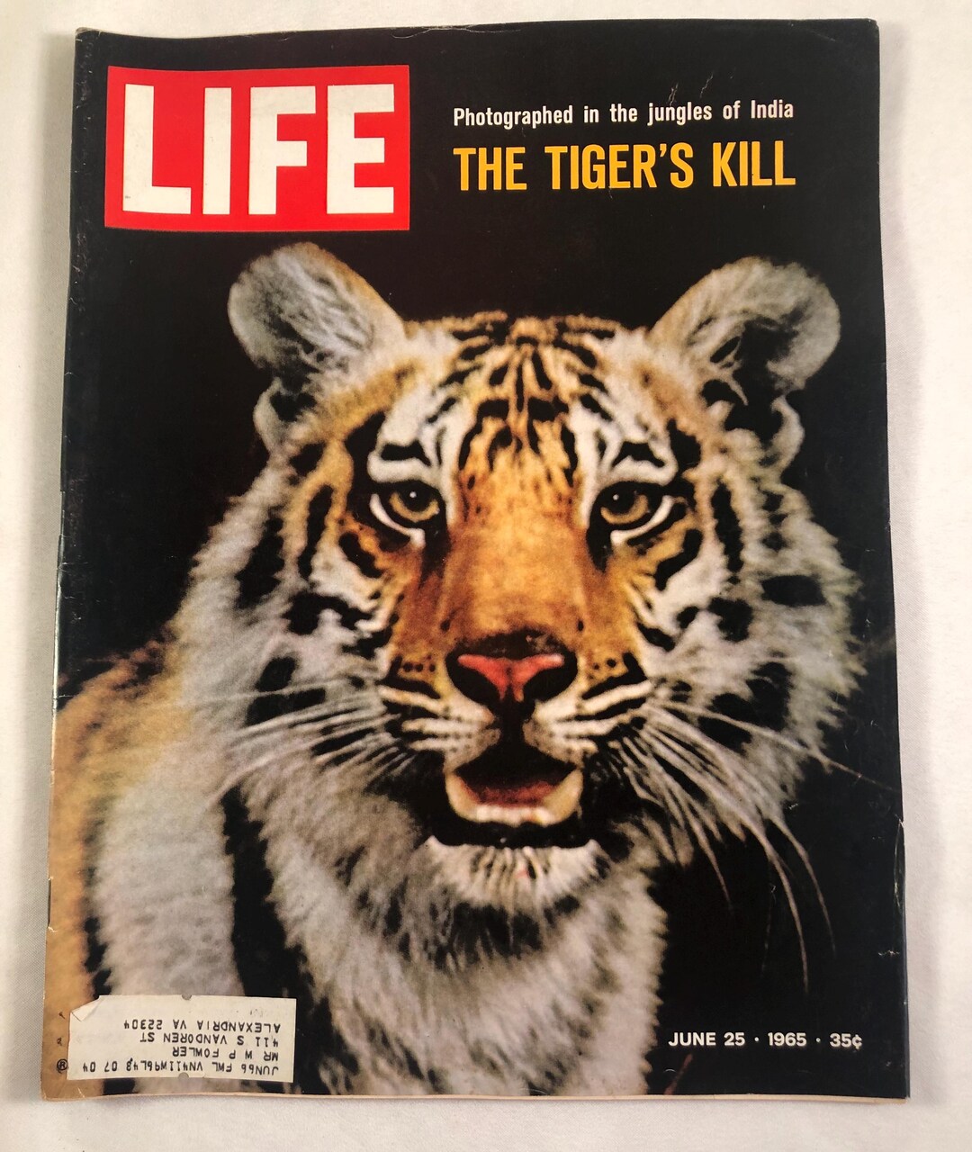 June 25 1965 Life Magazine India Tiger on Cover Vintage Original Full ...