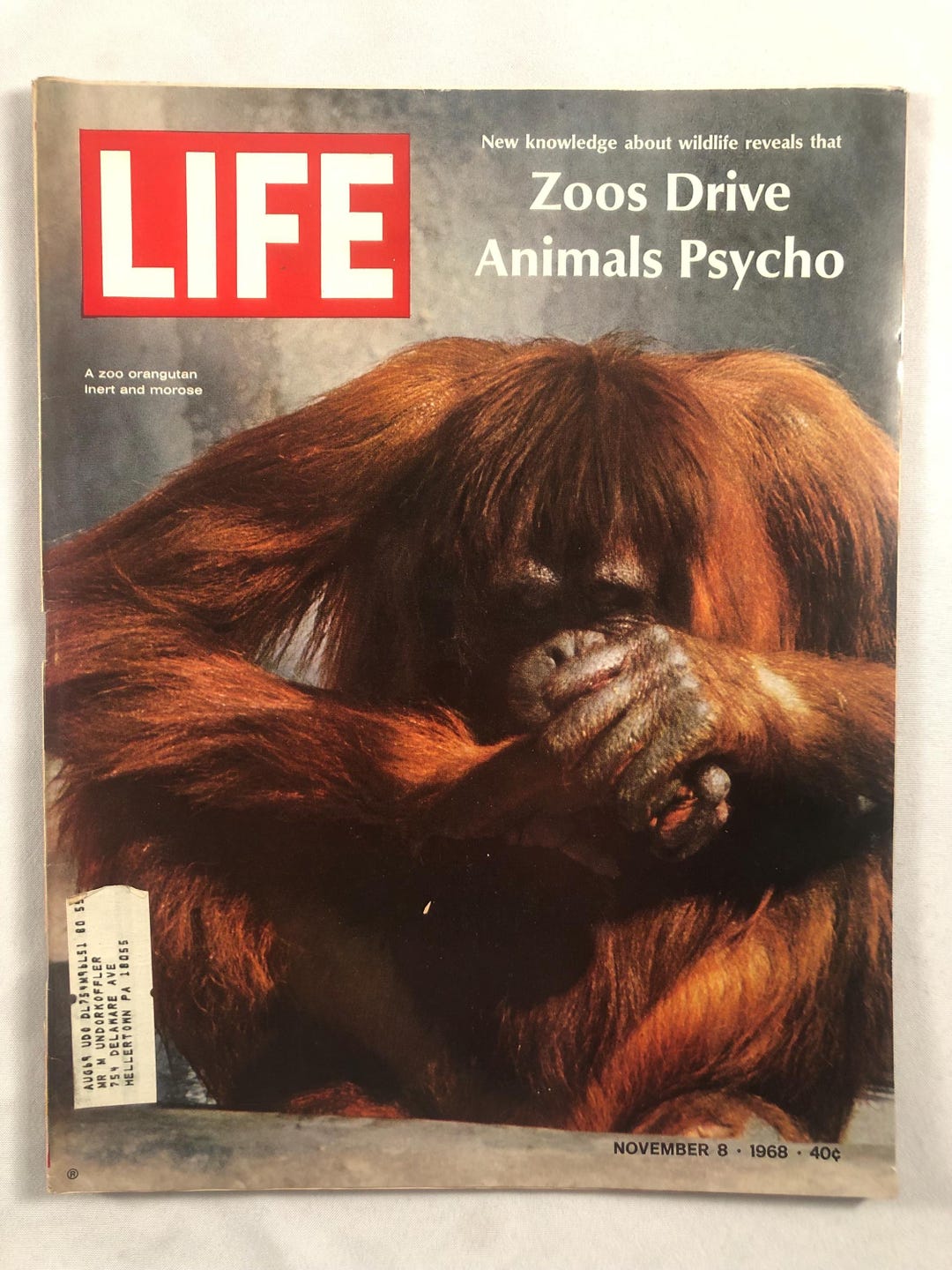 November 8 1968 Life Magazine Zoos Drive Animals Crazy Orangutan on ...