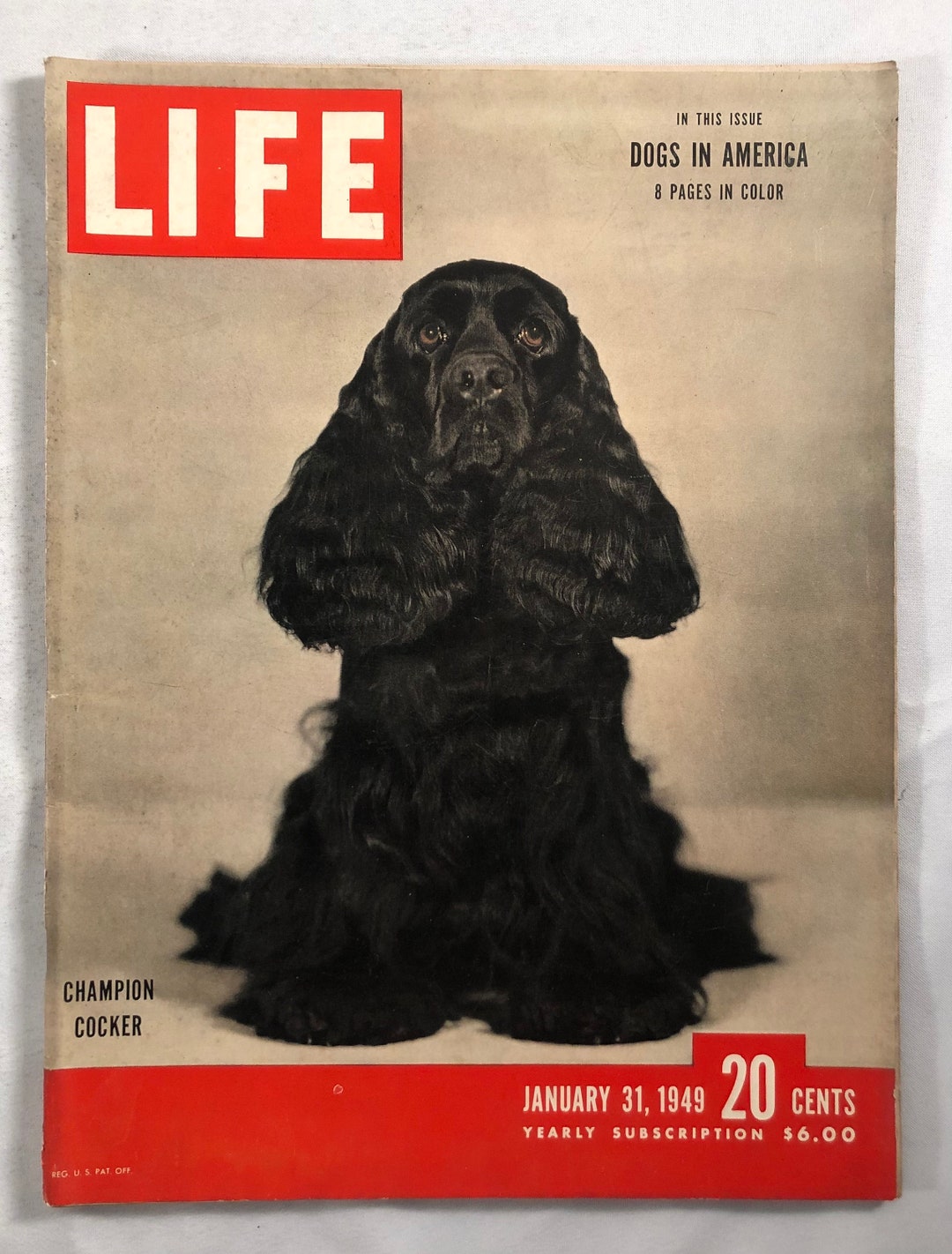 January 31 1949 Life Magazine Dogs of America Champion Cocker Spaniel ...