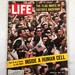 March 29 1963 Life Magazine the Flag Waves in Castro's Backyard Cuba ...
