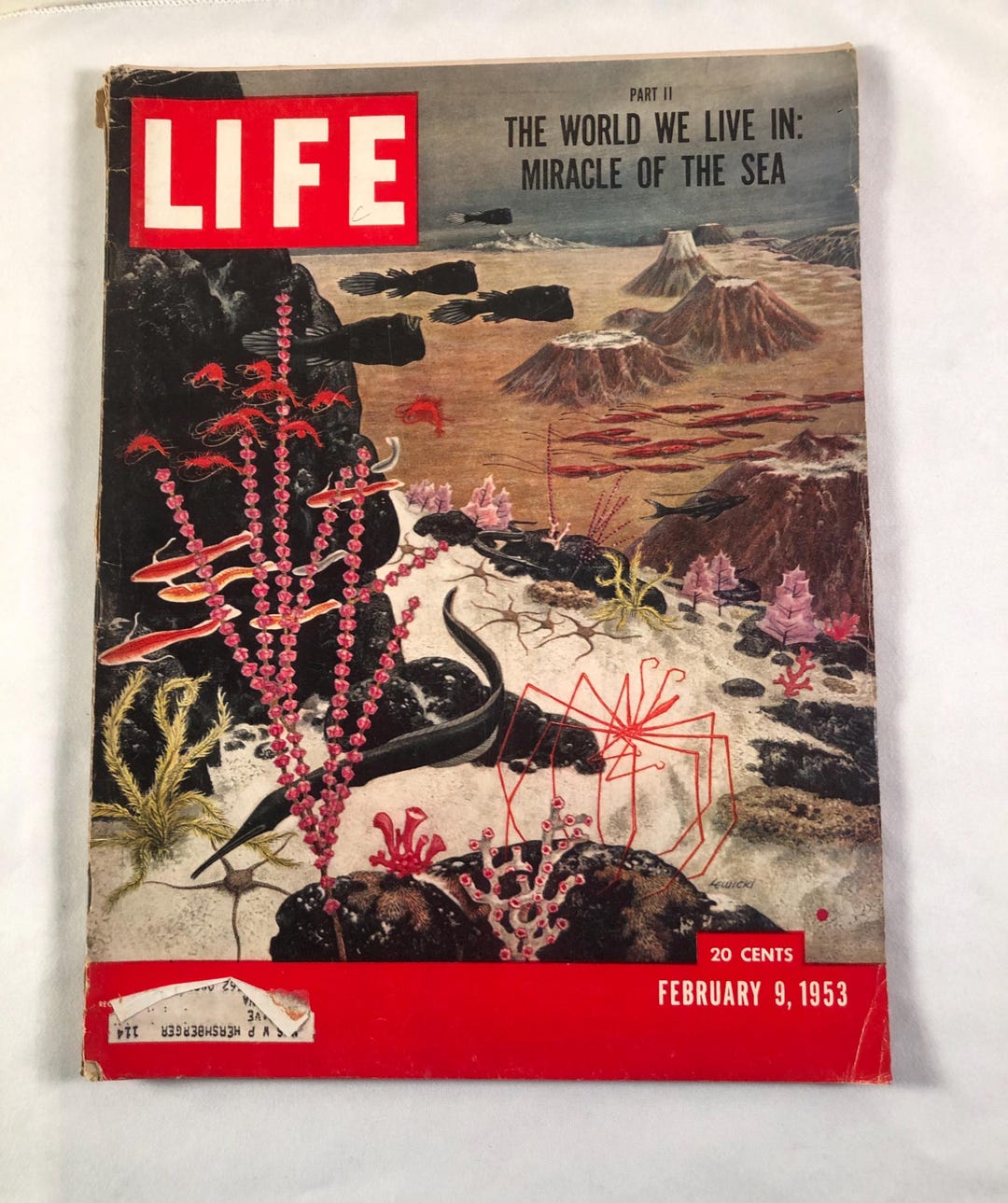 February 9 1953 Life Magazine Miracle of the Sea James Lewicki Painting ...