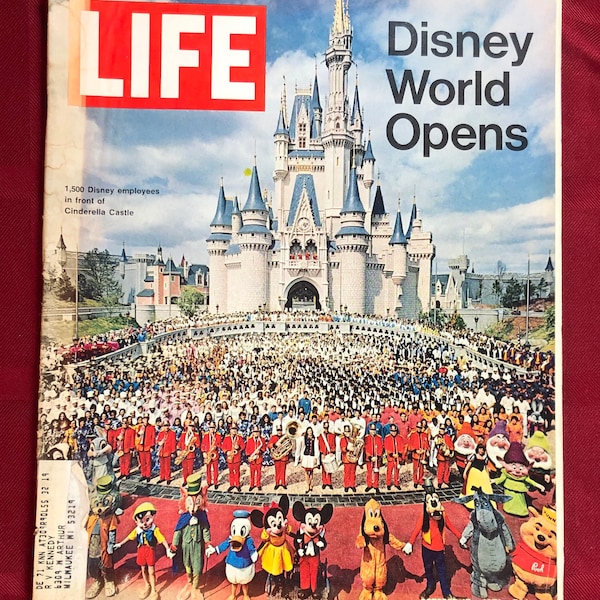 Mickey Mouse 1971 - Etsy