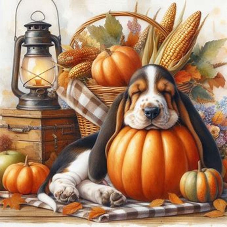 Basset Hound Clipart Dog Puppy Pet 12 JPG Autumn Thanksgiving Pumpkin ...