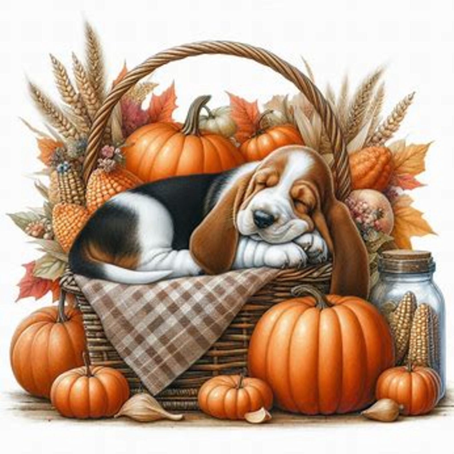Basset Hound Clipart Dog Puppy Pet 12 JPG Autumn Thanksgiving Pumpkin ...