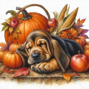 Bloodhound Dog Basset Hound Puppy Pumpkin Autumn Fall Halloween ...