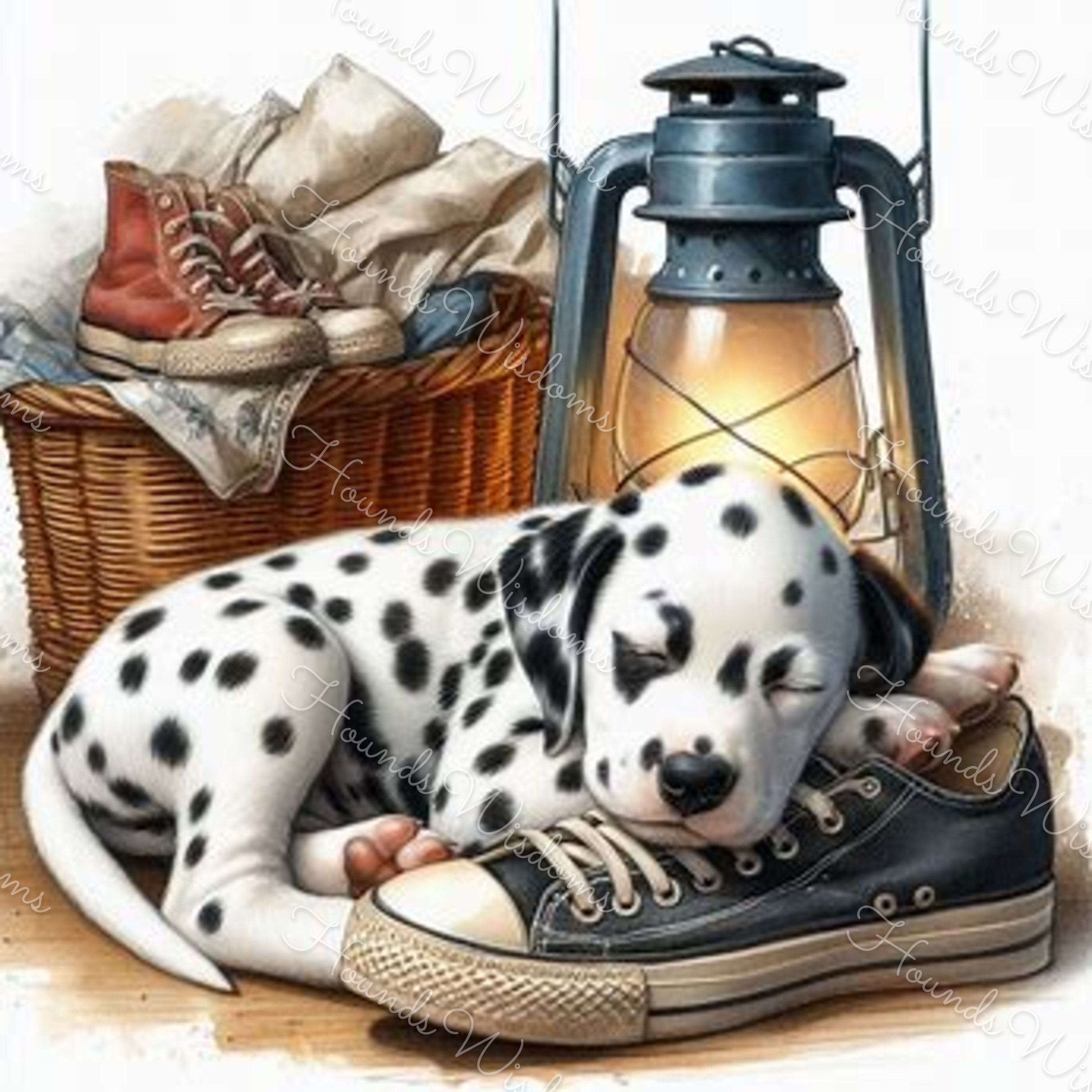 Dalmatian Dog 101 Dalmatians Puppy Sleeping Printable 12 Poster Sticker ...
