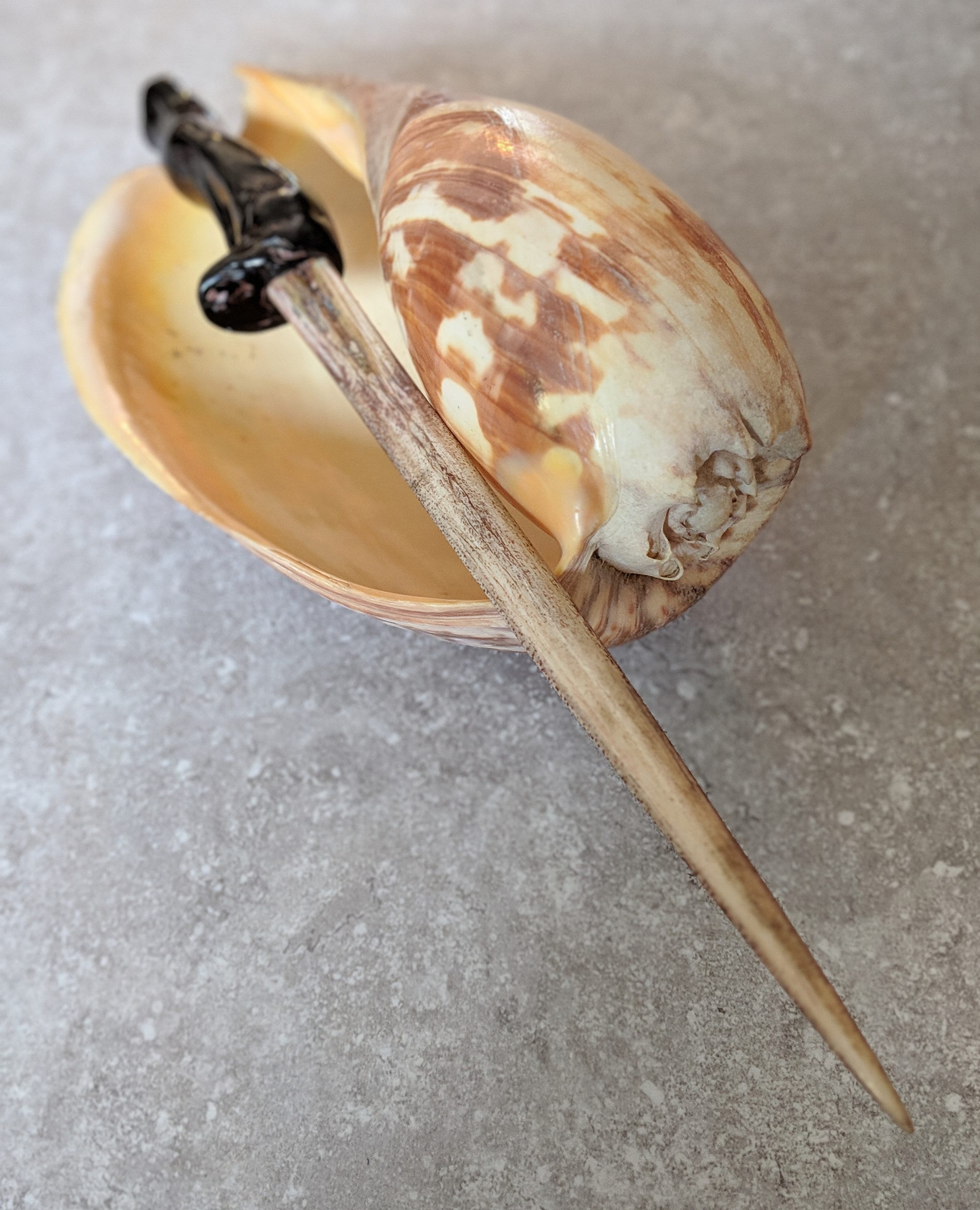 Hawaiian Black Coral Handle, Marlin Bill Blade, Dagger, Handcrafted ...