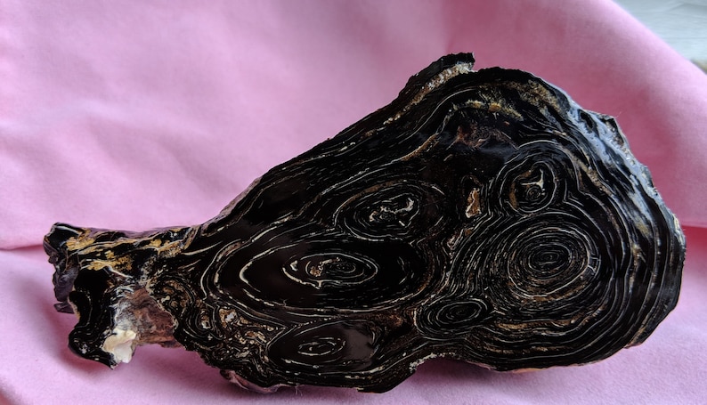 Rare, Very Large, Raw, Vintage Genuine Hawaiian Black Coral ...