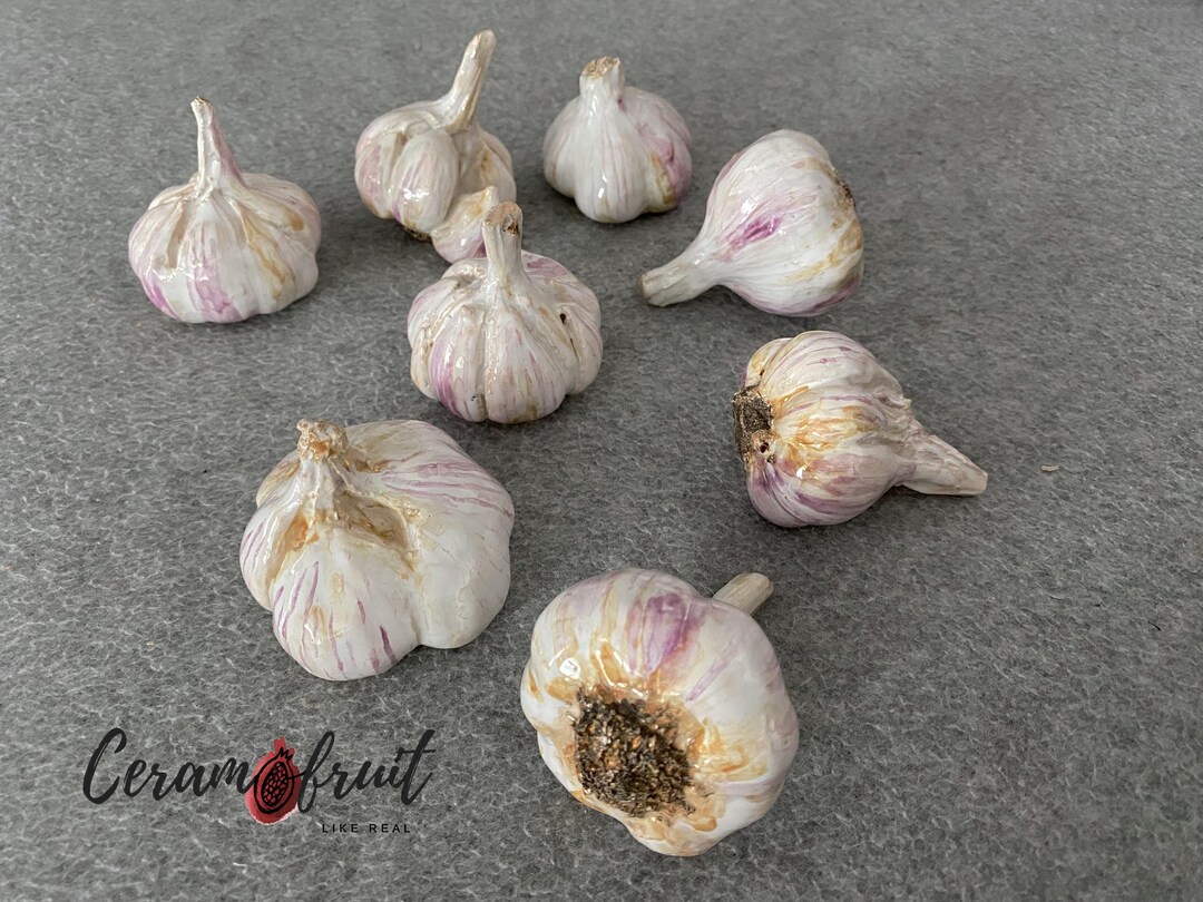 White Garlic. Ceramics. Natural Size. A Figurine of White Ripe Garlic ...