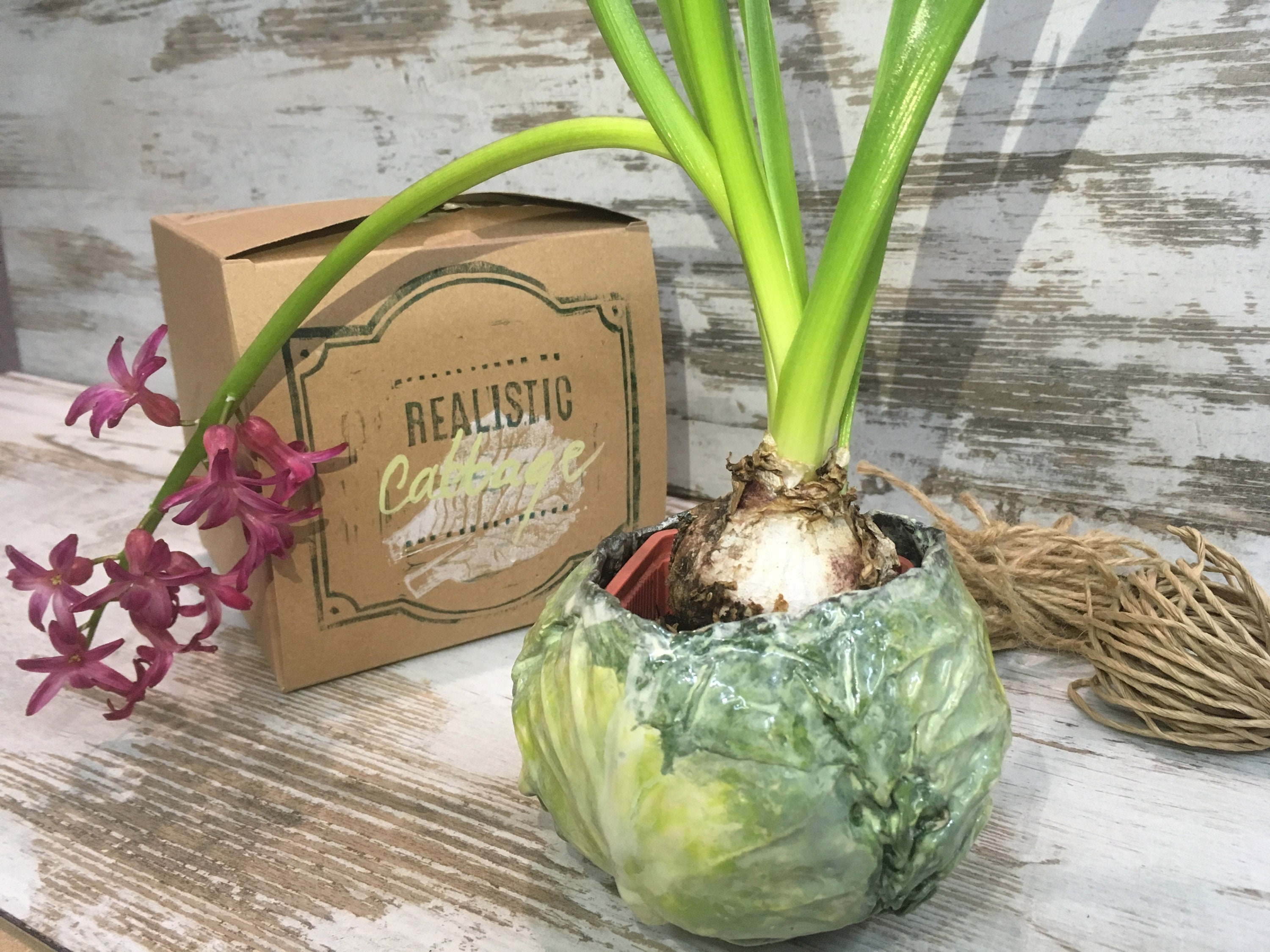 Ceramic Vase in the Form of Cabbage. Vase similar to | Etsy