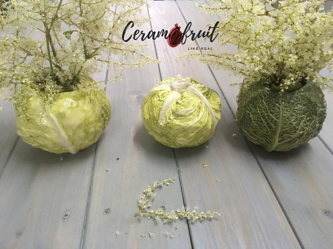 Ceramic vase. Cabbage. Vase similar to white-rolled cabbage or | Etsy