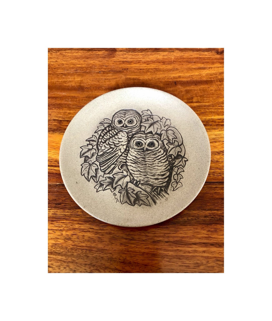 Vintage Poole Pottery Wildlife Series Owl Dish - Etsy