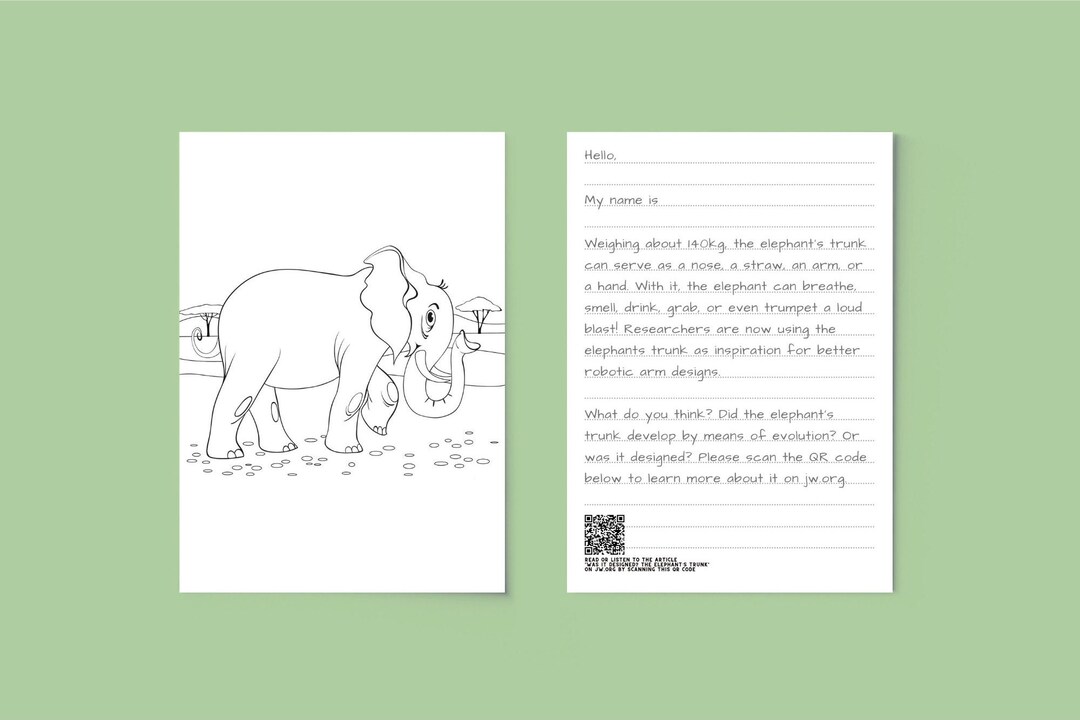 The Elephant’s Trunk - Was It Designed? - JW Kids Letter Writing - Etsy