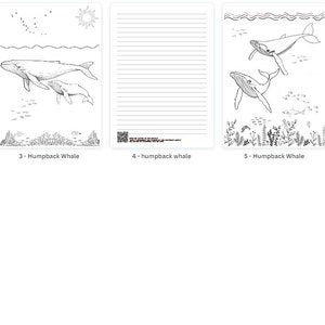 The Flipper of the Humpback Whale - Was It Designed? - JW Kids Letter ...