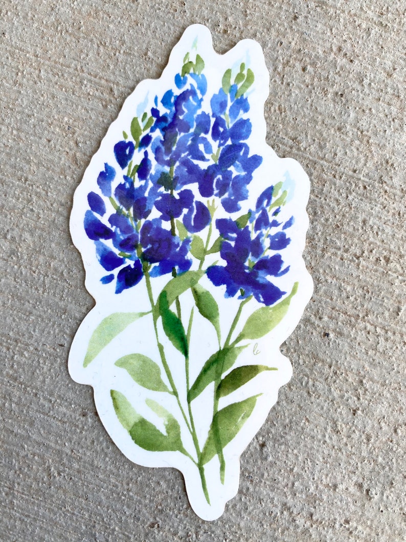 The Bluebonnet Nook Sticker Bluebonnet Decal Texas Sticker - Etsy