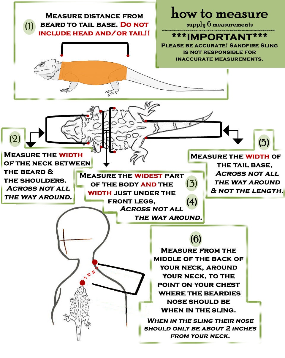 Beardie Sling- Sprig - Etsy