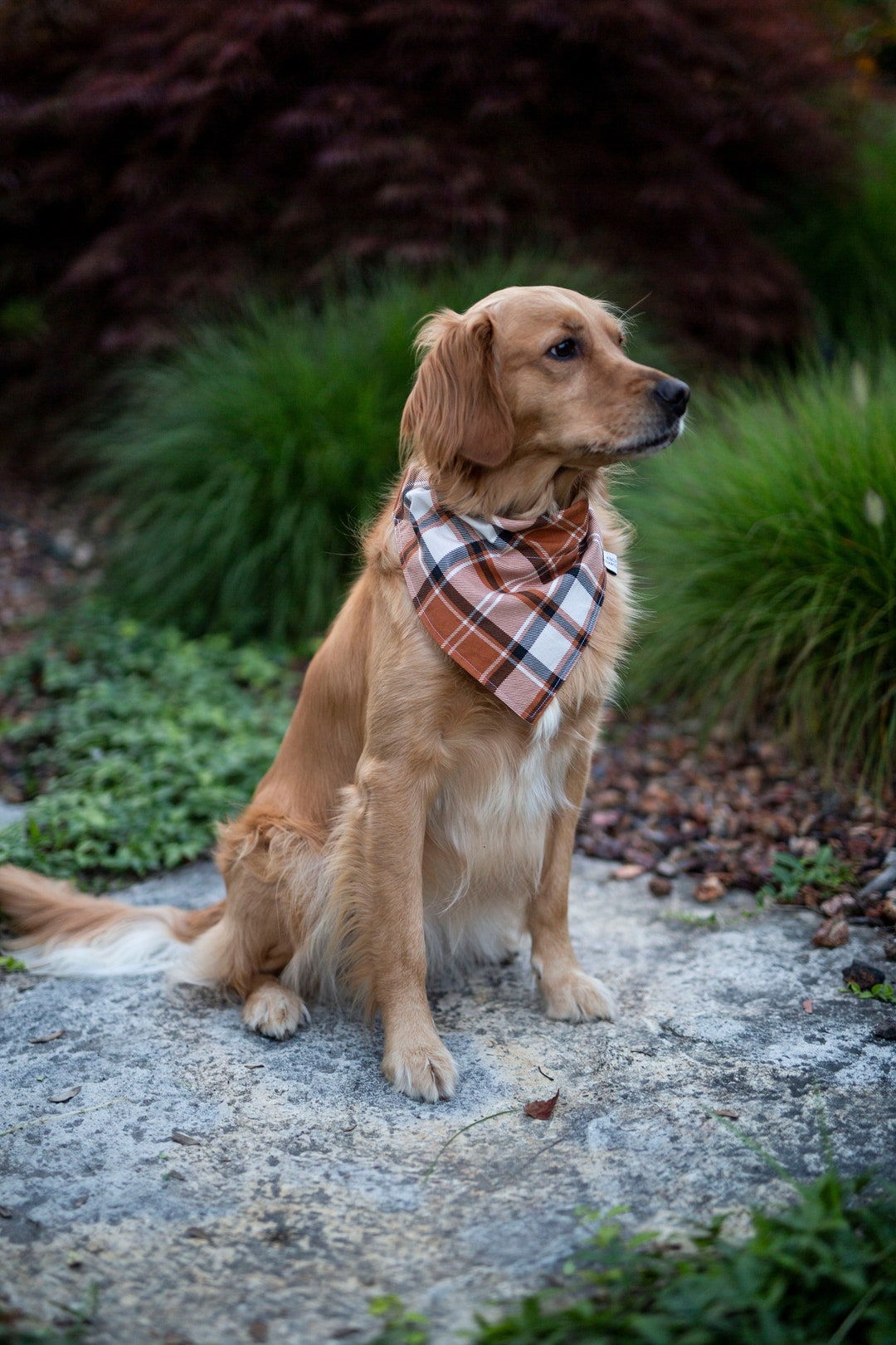 Fall Dog Bandana, Plaid, Harvest Plaid, Fall Plaid, Autumn Dog Bandana ...