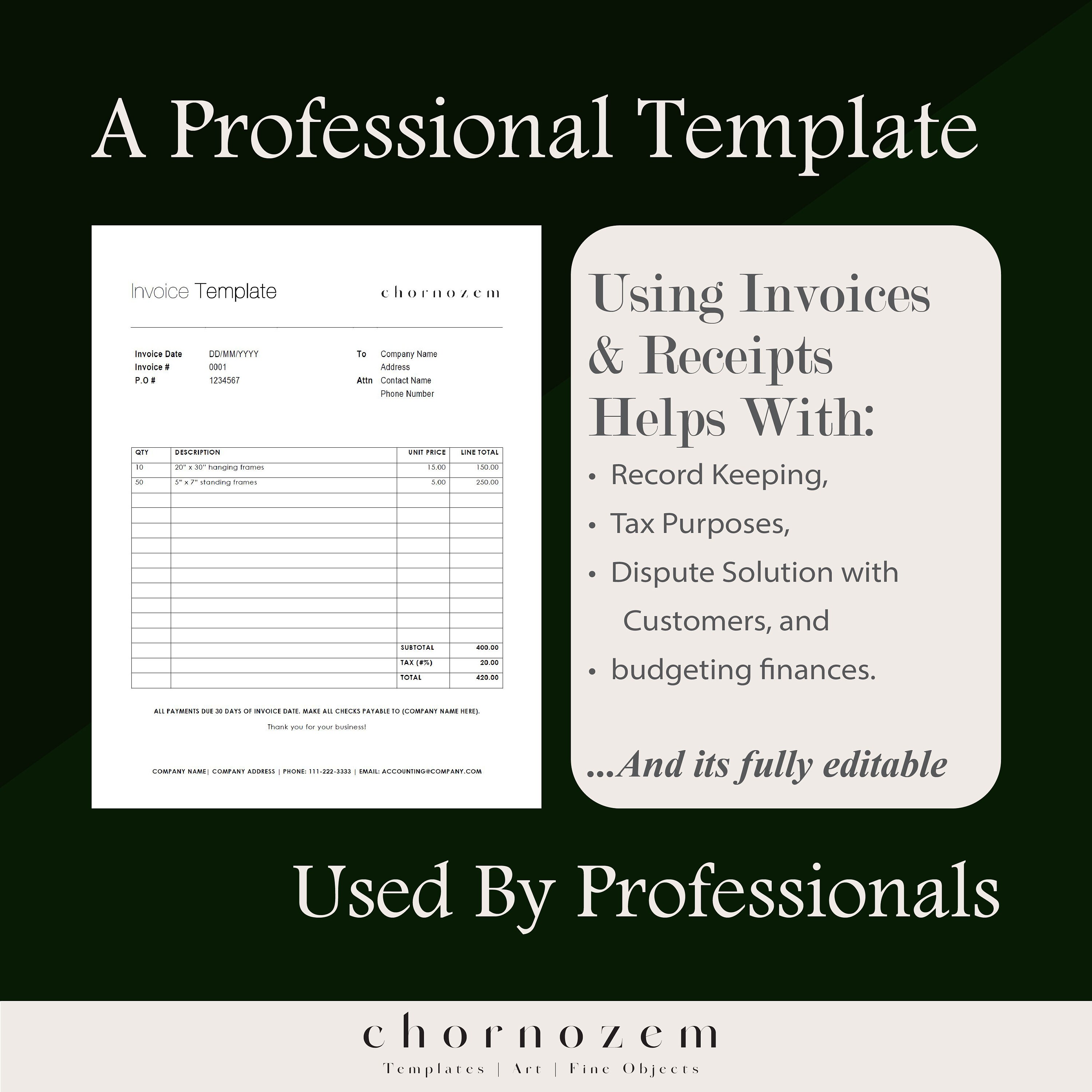 Editable Invoice Template Modern & Professional Microsoft Word or ...