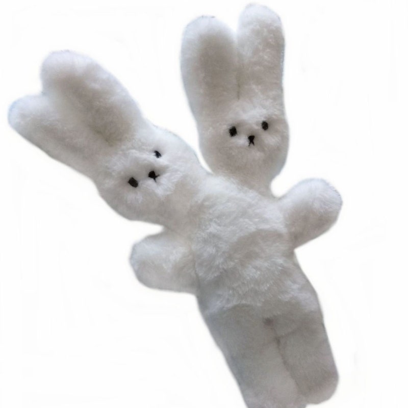 Two Headed Cat - Etsy