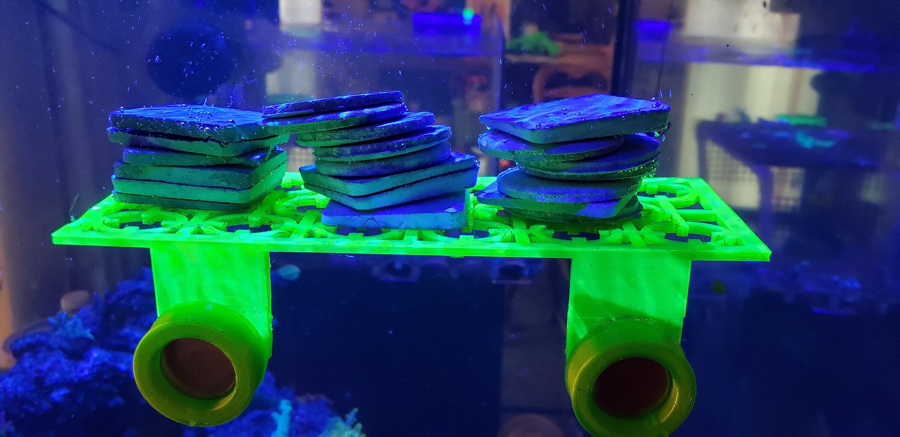 Magnetic Coral Frag Rack for 1/2 Glass / Acrylic 22 Frags 3D Printed - Etsy