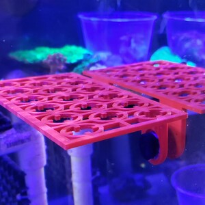 Magnetic Coral Frag Rack for 1/2 Glass / Acrylic 22 Frags 3D Printed - Etsy