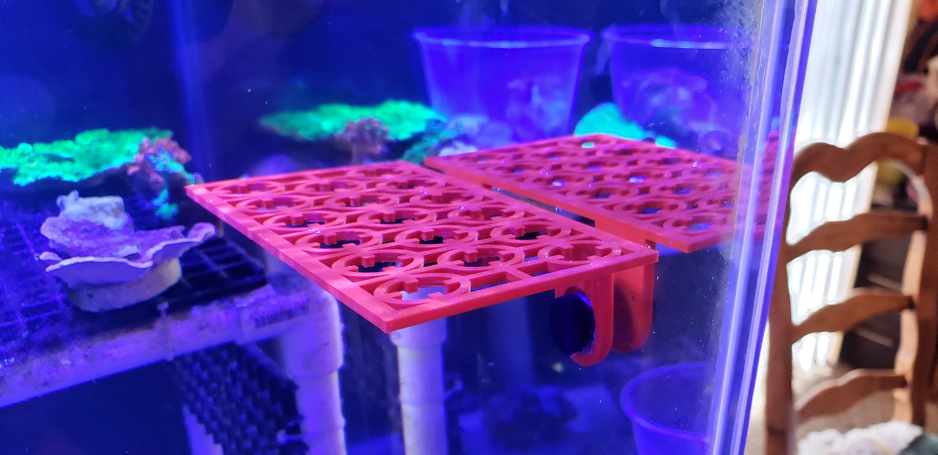 Magnetic Coral Frag Rack for 1/2 Glass / Acrylic 22 Frags 3D Printed - Etsy