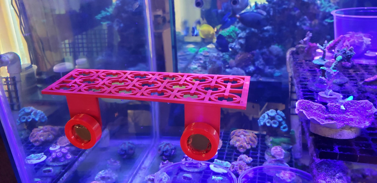 Magnetic Coral Frag Rack for 1/2 Glass / Acrylic 22 Frags 3D Printed - Etsy