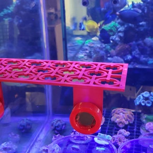 Magnetic Coral Frag Rack for 1/2 Glass / Acrylic 22 Frags 3D Printed - Etsy