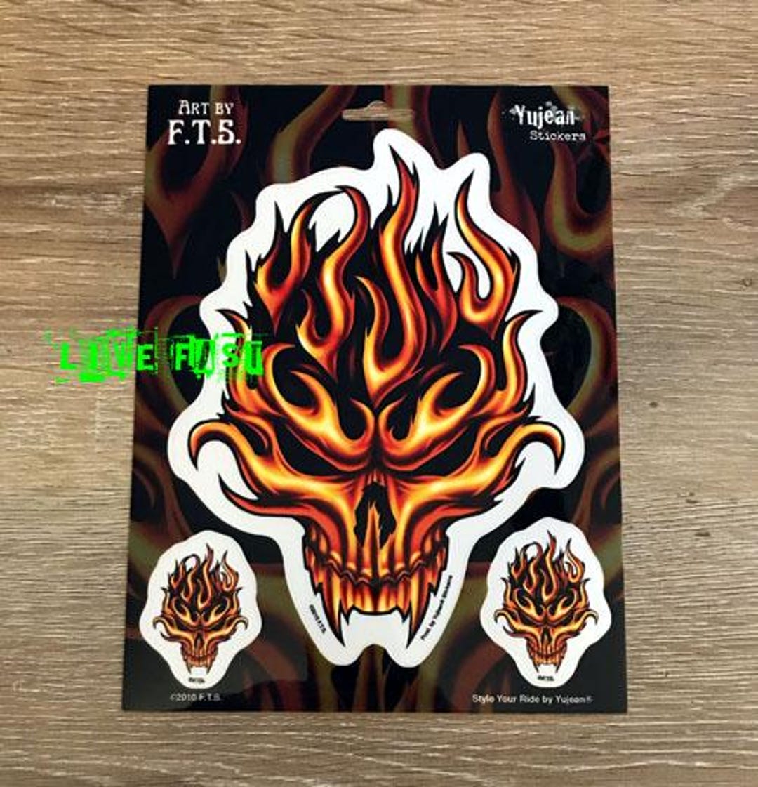 FLAMING SKULL Sticker Set Motorcycle Biker Hot Rod Muscle Car Decals - Etsy