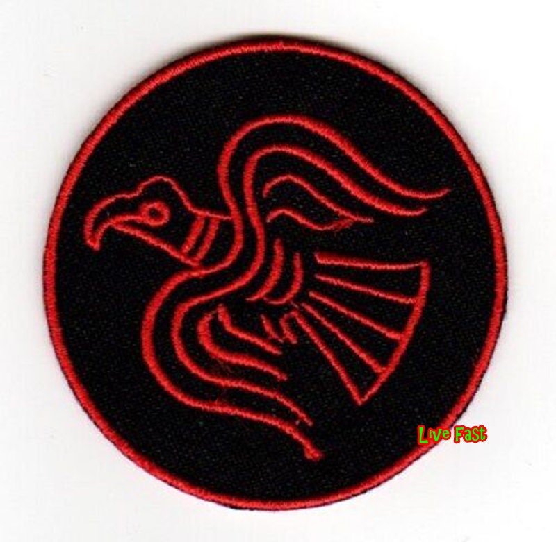 VIKING RAVEN RUNE Patch Asatru Thor Tyr Odin Nordic Runes Pagan Norse ...