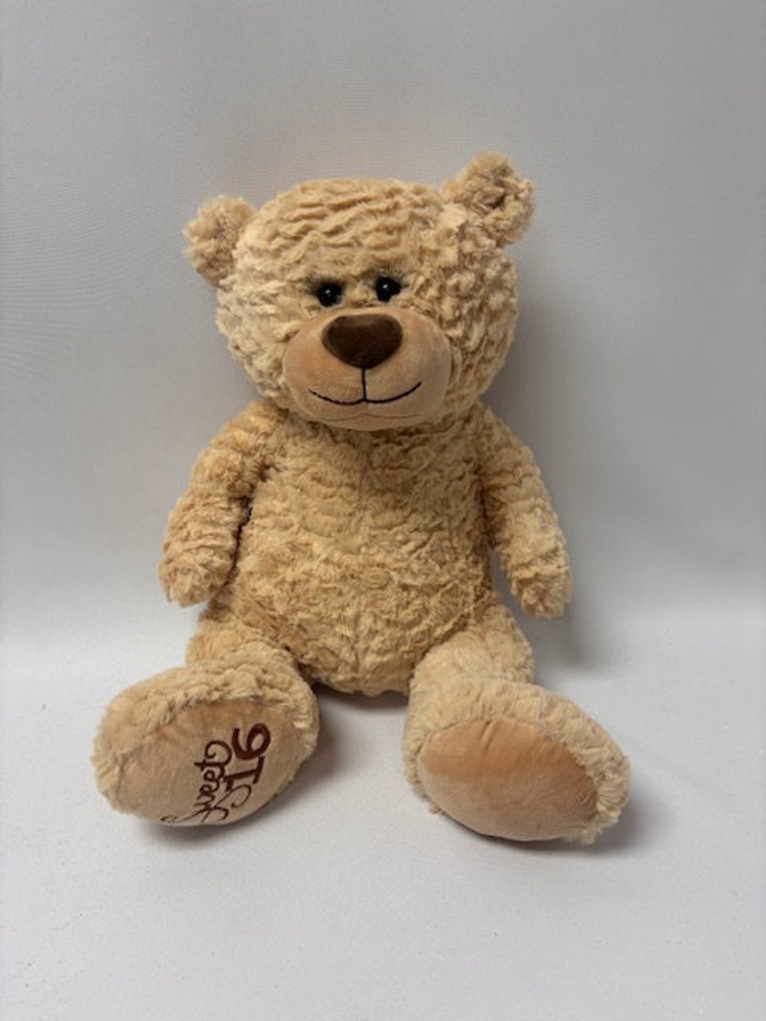 20 Sweet 16 Embroidered Last Teddy Bear - Etsy