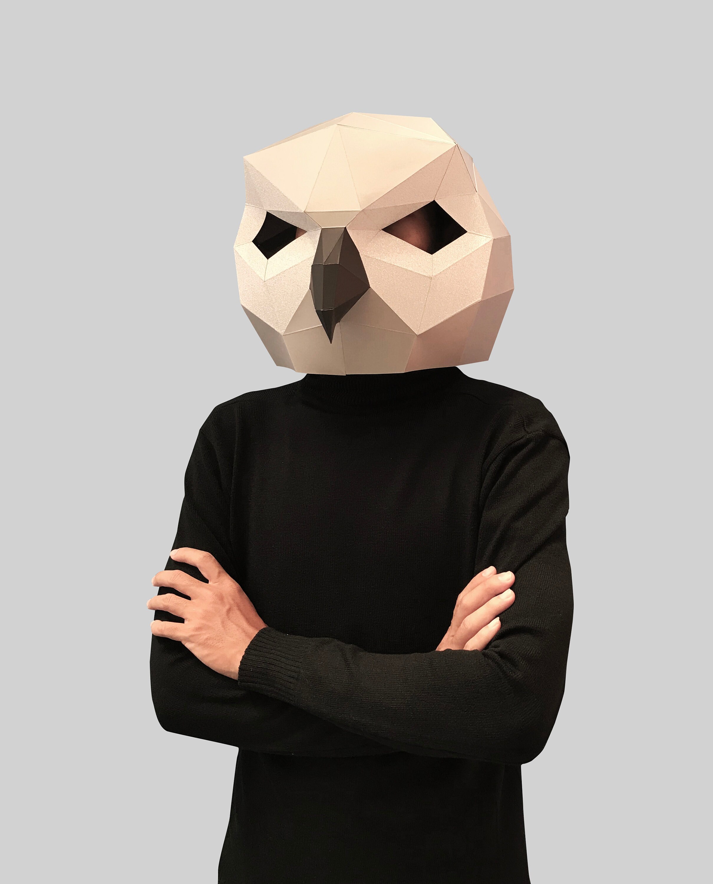 Pirate Owl Mask Template Paper Mask Papercraft Mask Masks | Etsy