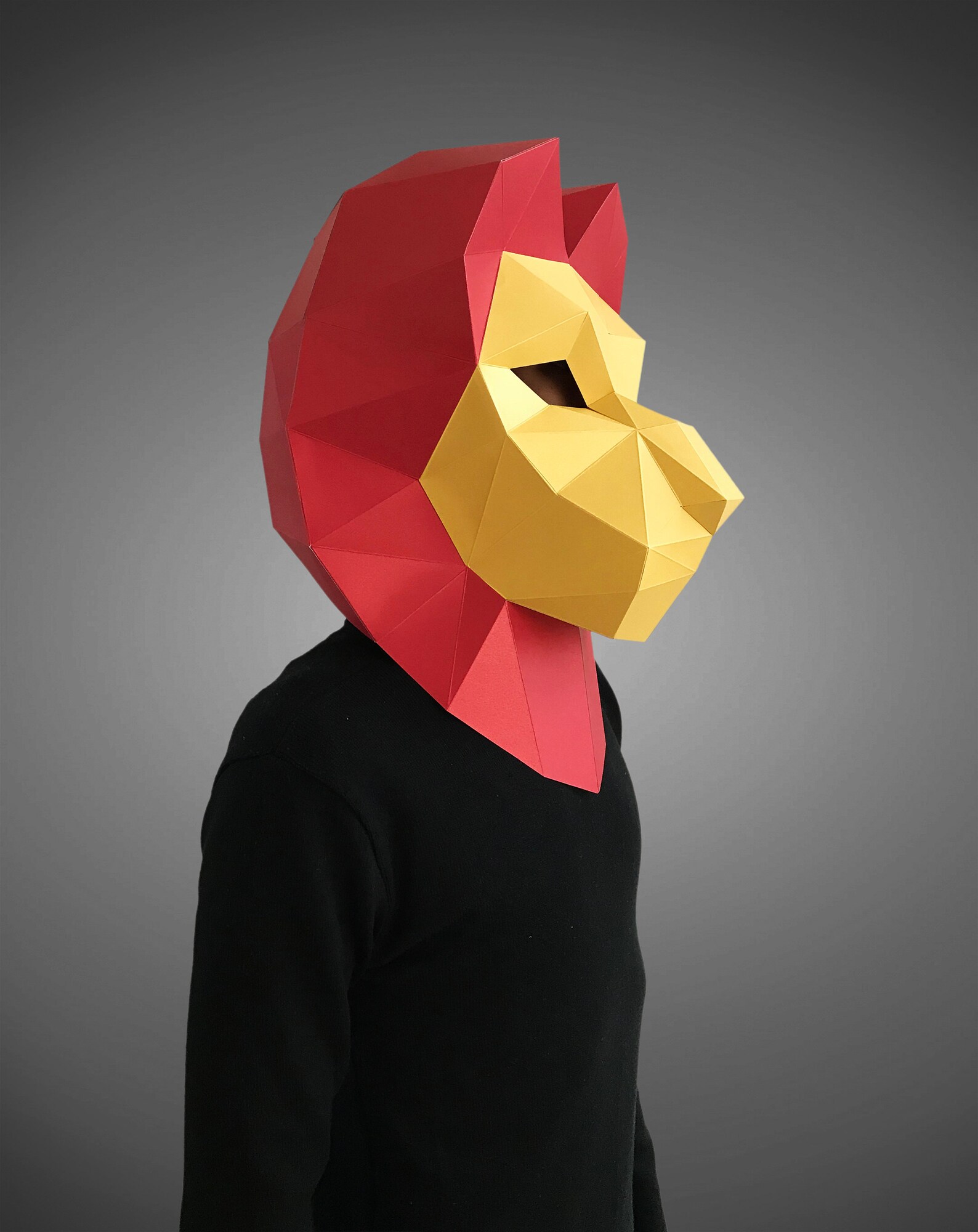 Lion King Mask Template Style 2 Paper Mask Papercraft Mask | Etsy