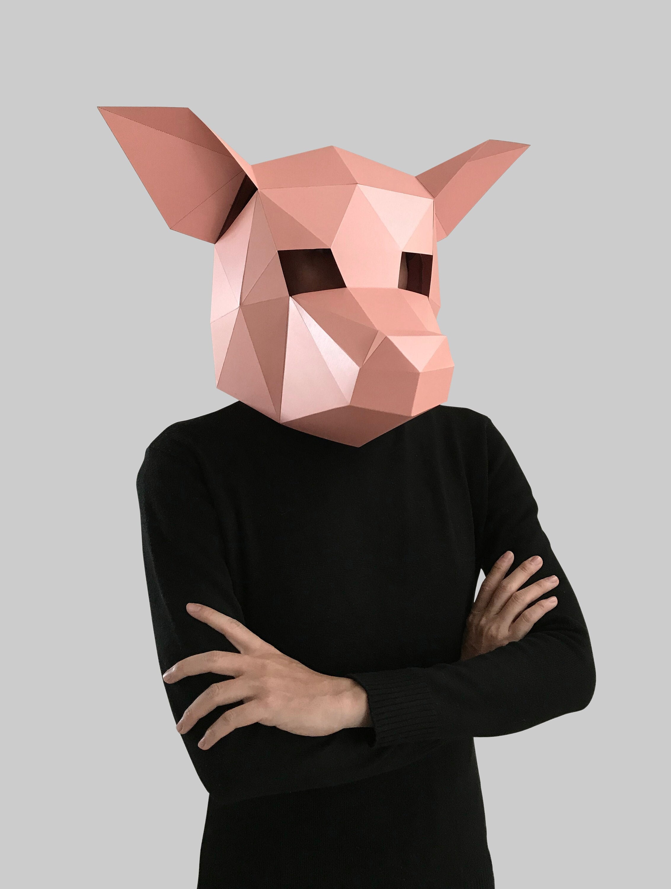 Pig Mask Template