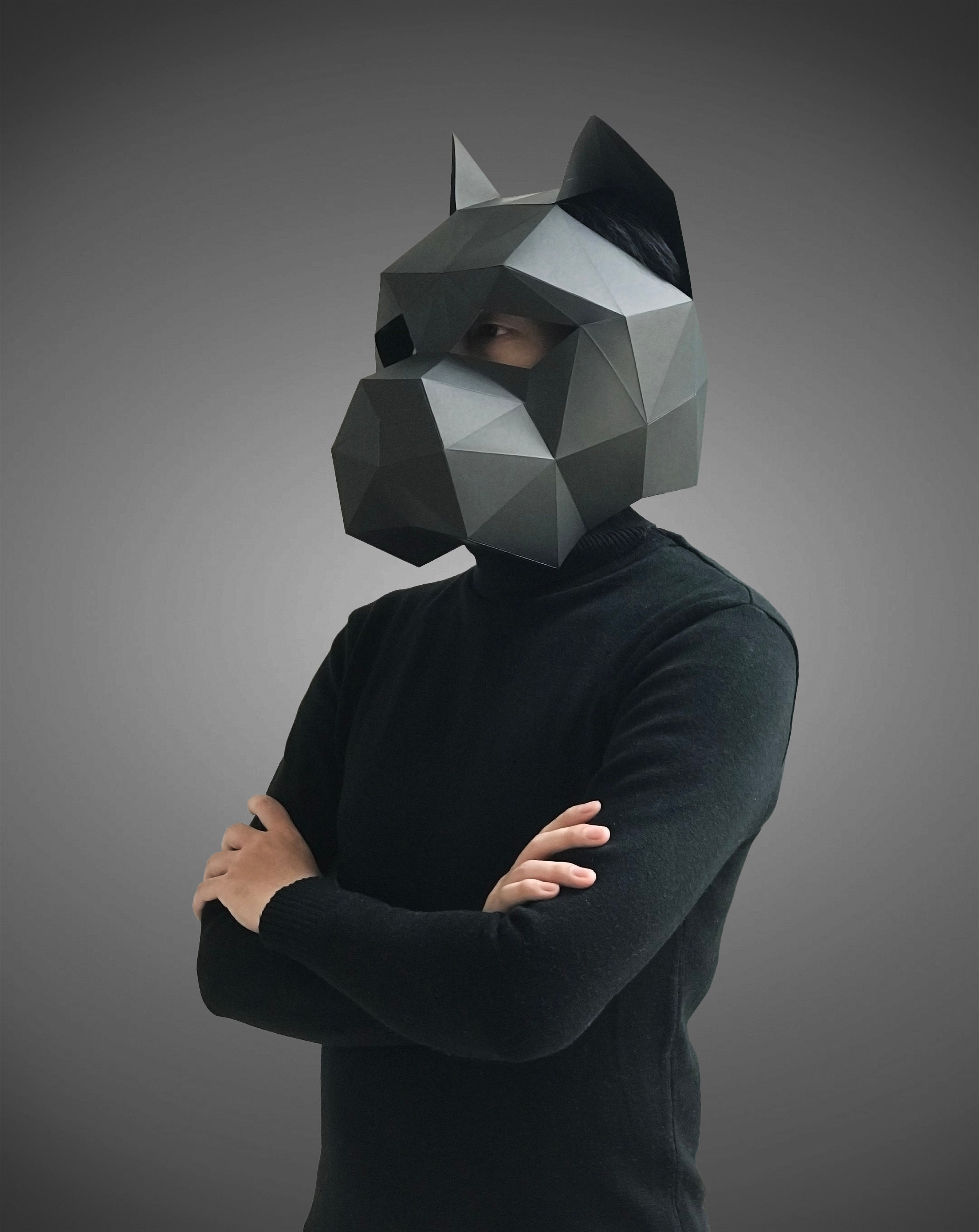 COMBO 15 Paper Template Dog Mask Papercraft Mask Masks 3d | Etsy