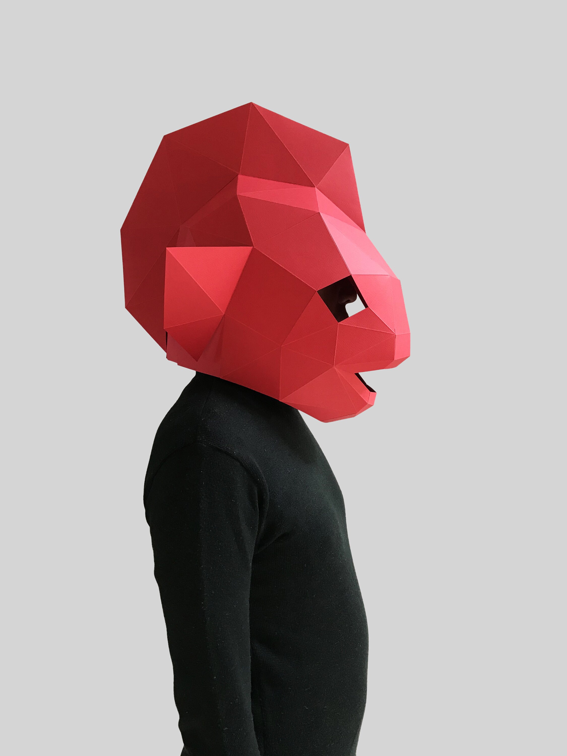 Fish Mask Template Paper Mask Papercraft Mask Masks 3d - Etsy Australia