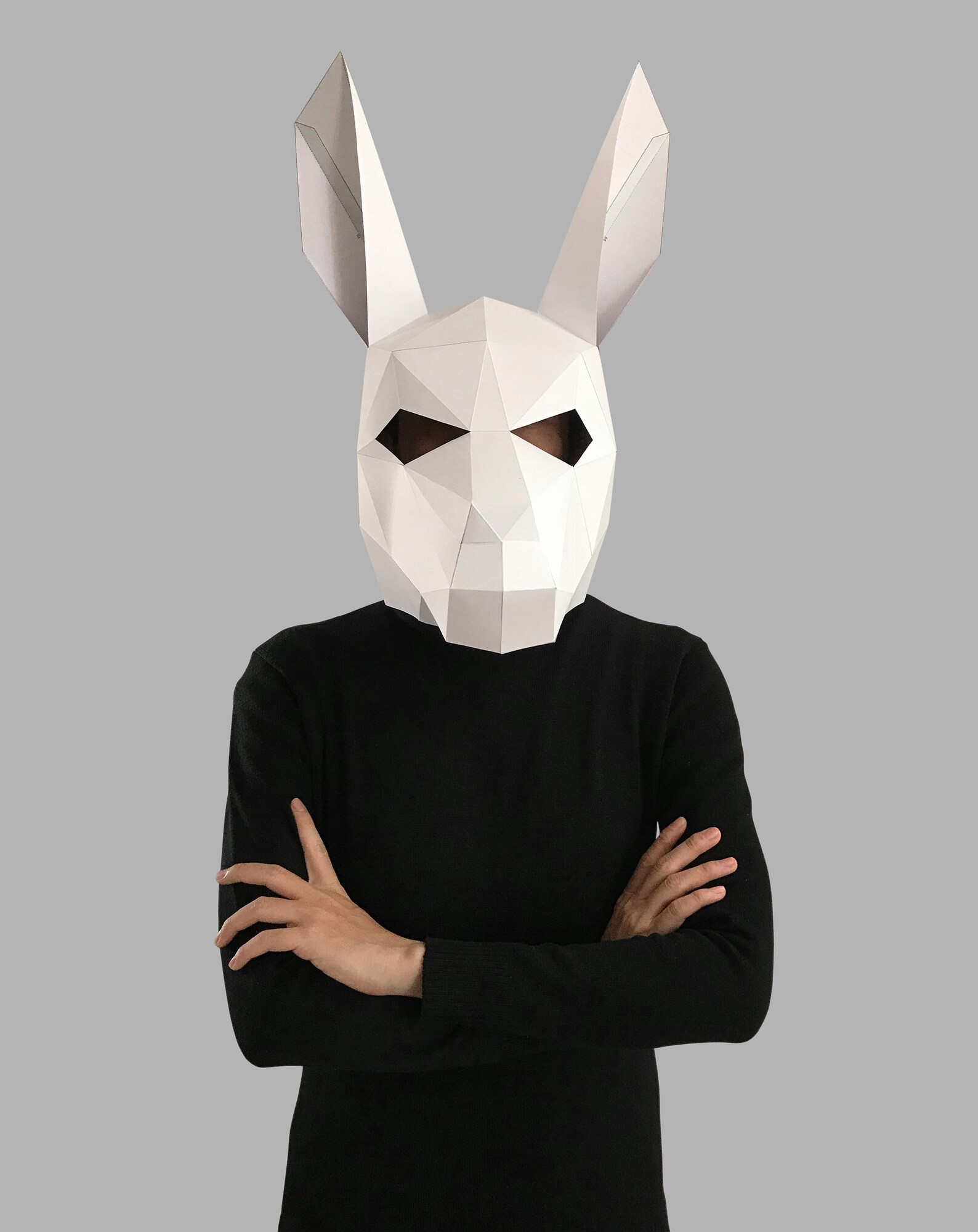 Lama Mask Template Paper Mask Papercraft Mask Masks 3d - Etsy